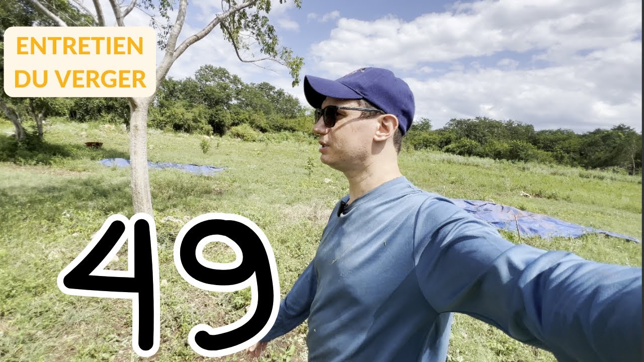 Entretien du verger et plantation du bananier blue java - Vlog 049 - YouTube