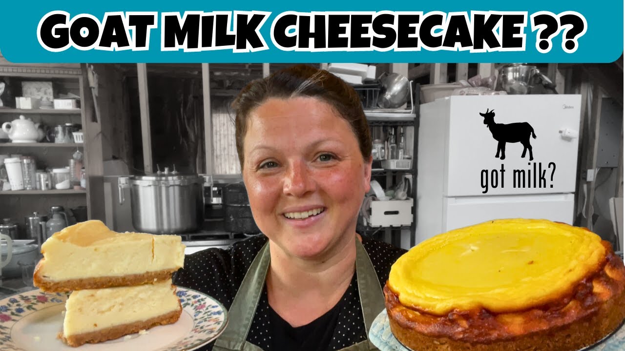 Alaska Homestead Cooking Easy way to make CHEESECAKE from MILK! - YouTube