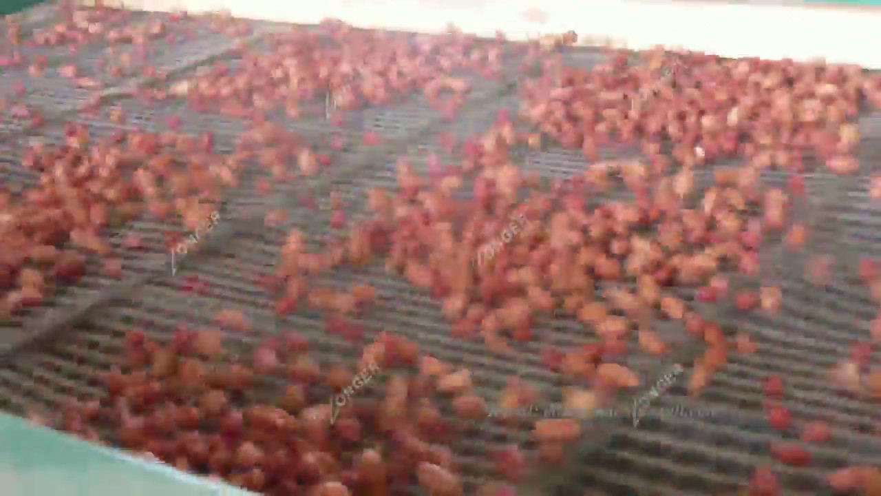 Peanut Grading Machine|Automatic Peanut Grader Machine - YouTube