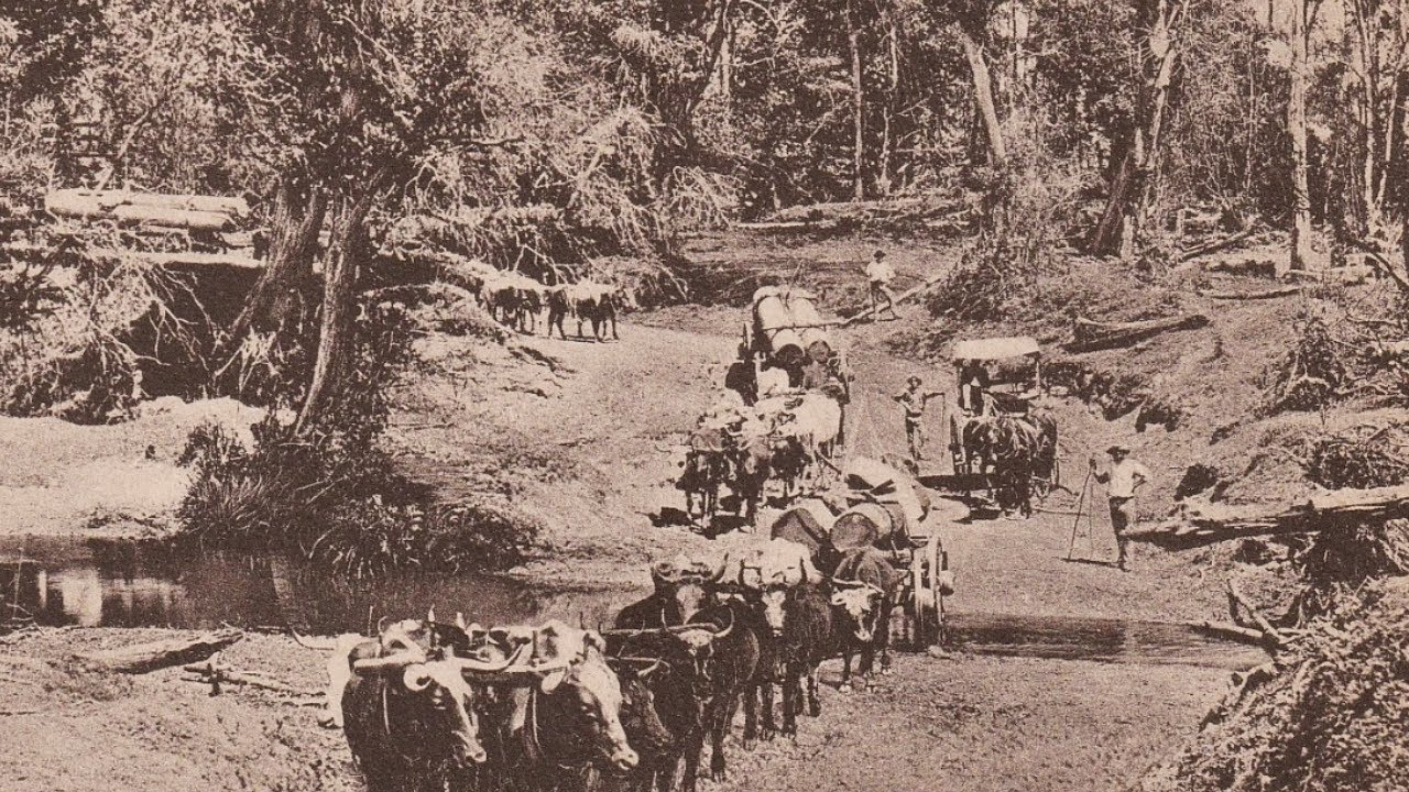 Incredible Old Australia 🇦🇺 Rarely Seen Historical Photos From Around ...