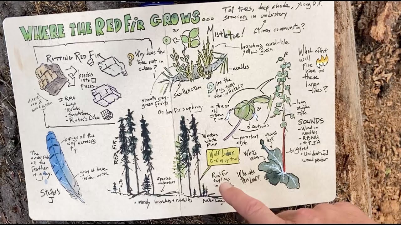 The Nature Journal Connection, Episode 31: Sense of Place - YouTube