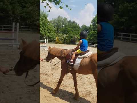 At | Eşek | Ahmet Eren | Erciyes at biniciliği Kayseri | At binmek