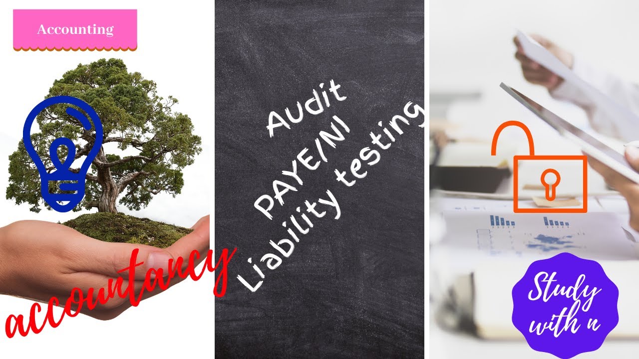Audit: PAYE/NI Liability Testing - YouTube