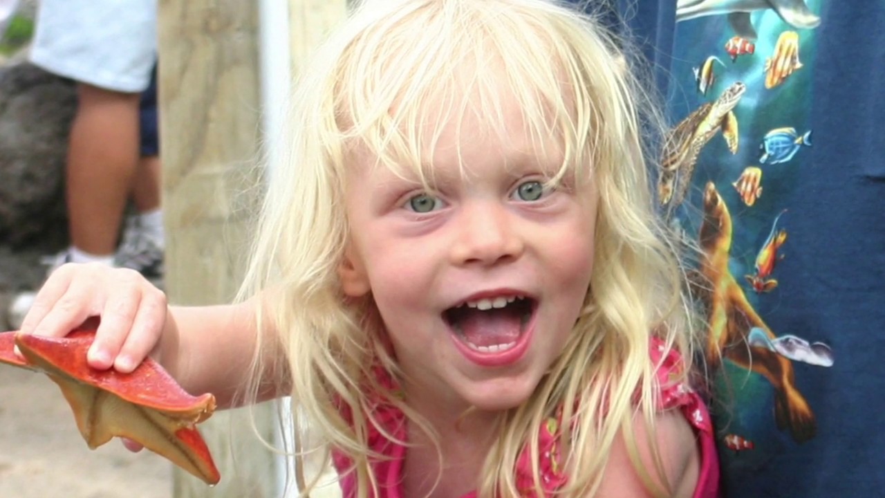 Graduation Tribute for Kathy Swartz- Leland High School 2020 - YouTube