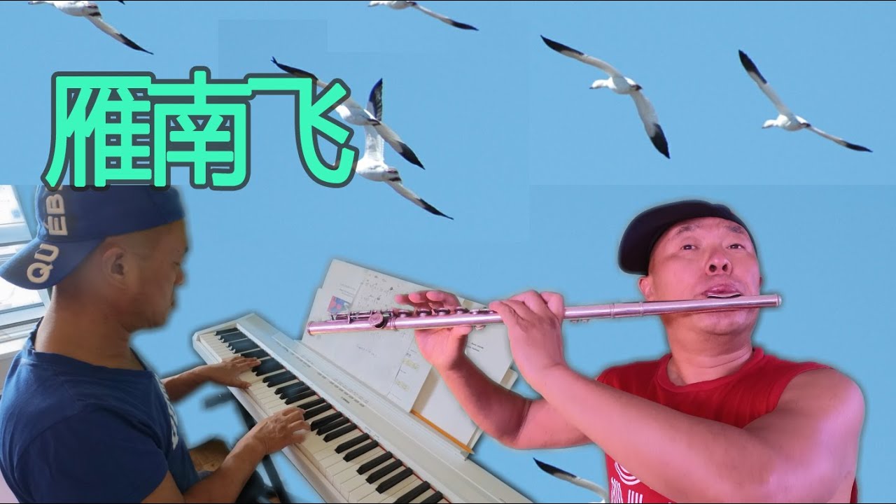 雁南飞 Mv 重编、演奏、录制swan Music Youtube