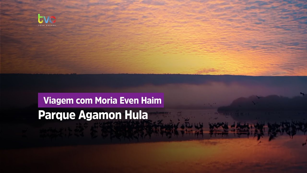 VIAGEM COM MORIA EVEN HAIM - PARQUE AGAMON HULA - YouTube