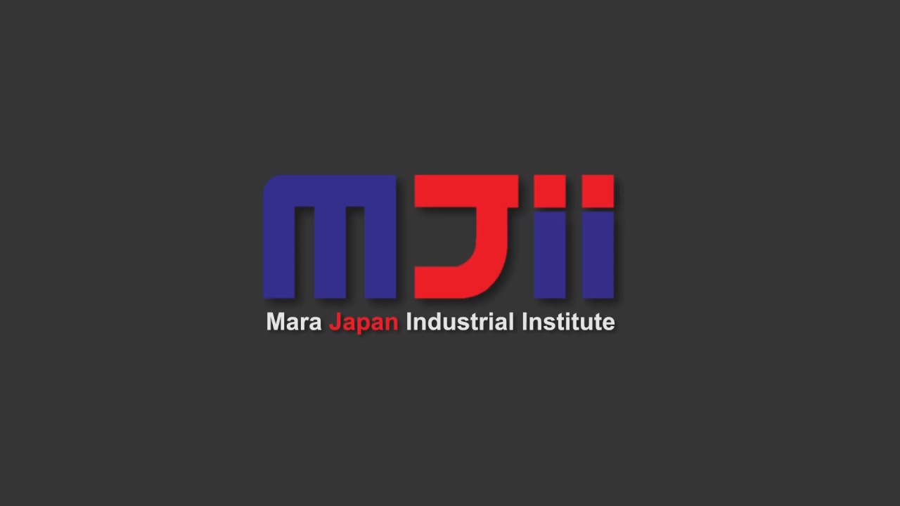 MJII MOGraph LOGO STYLE - YouTube