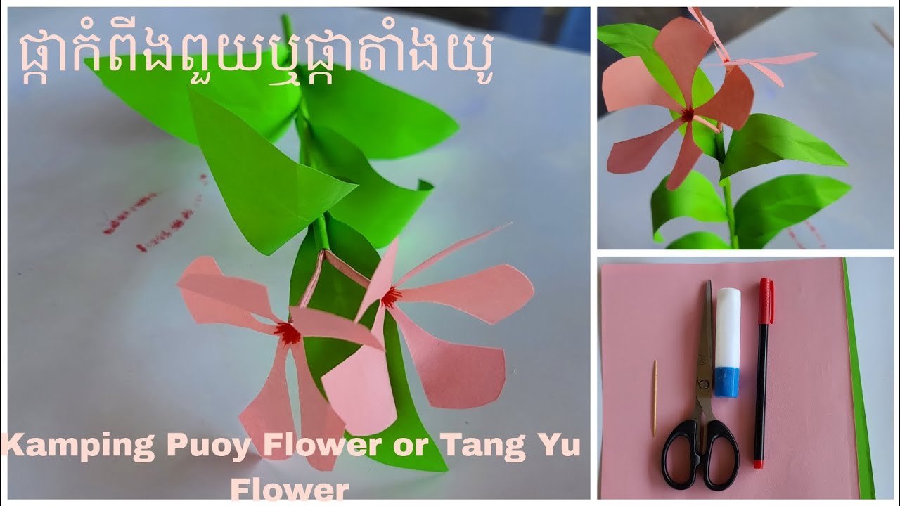 របៀបបត់ផ្កាកំពីងពួយឬផ្កាទងយូ//How to fold Kamping Puoy flower or Tang ...