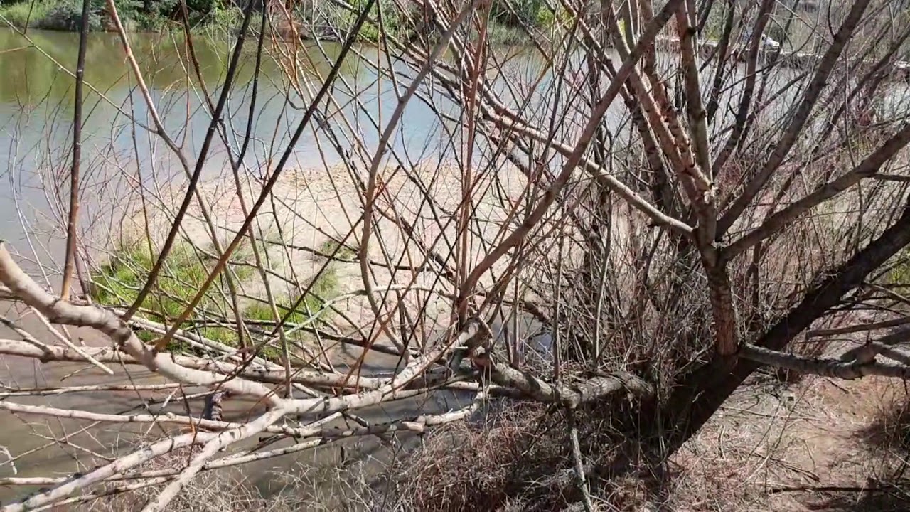 Waterfalls and wombat caves. - YouTube