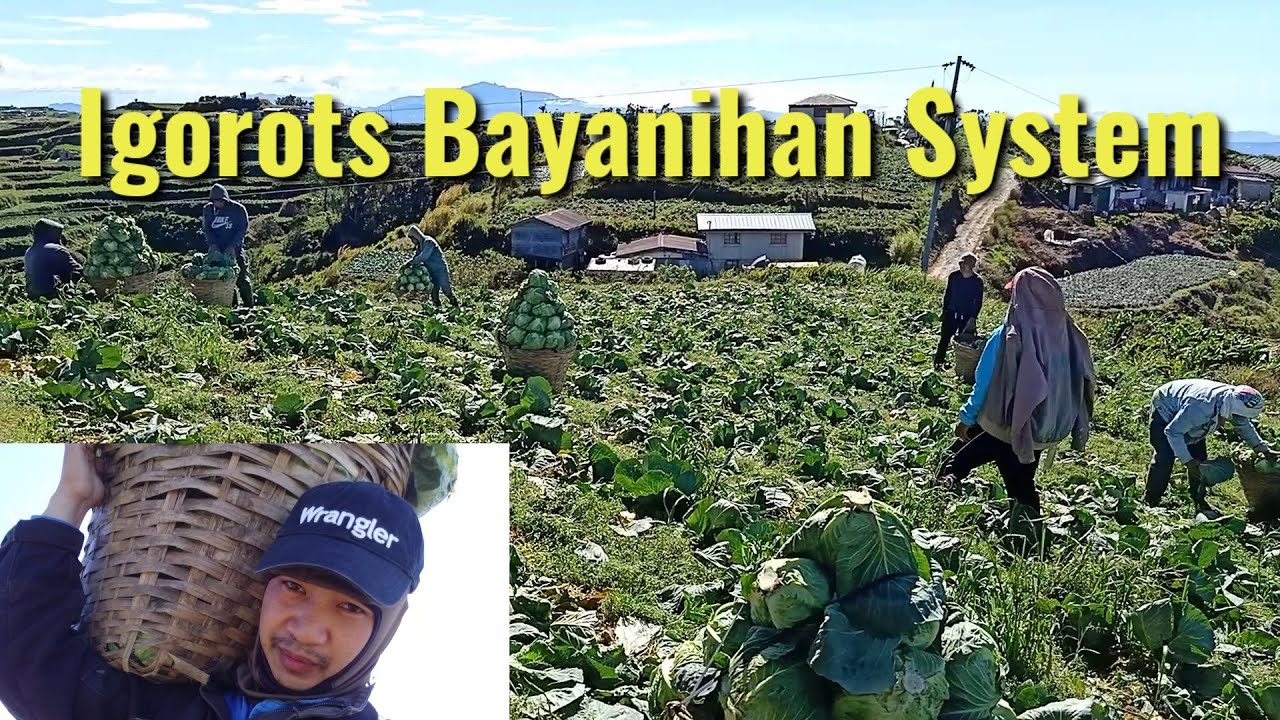 Igorots Bayanihan System: A day in a Life - YouTube