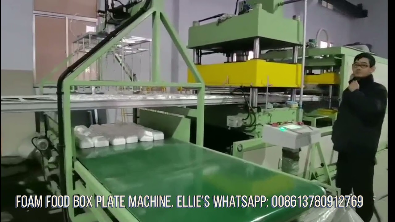 foam food box plate making machine , Ellie's WhatsApp : 008613780912769 ...