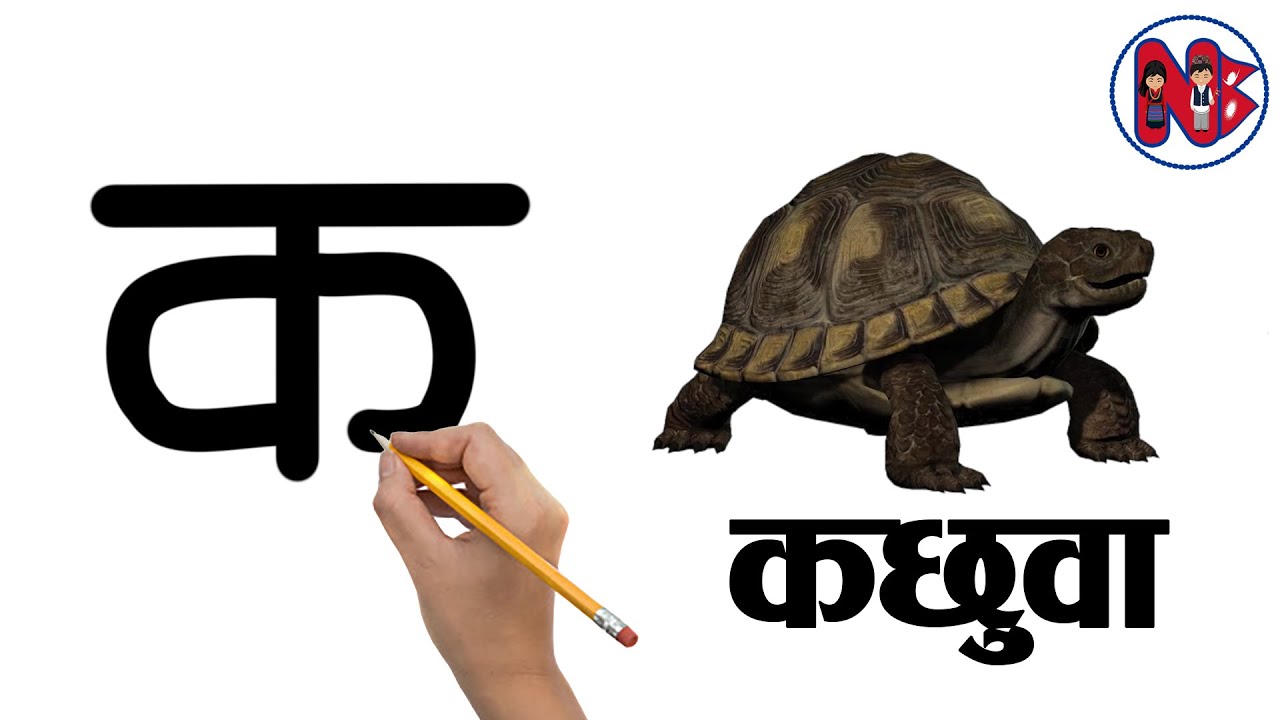 क बाट कछुवा । Ka Bata Kachuwa Nepali Rhymes for Kids । क ख ग घ नेपाली ...