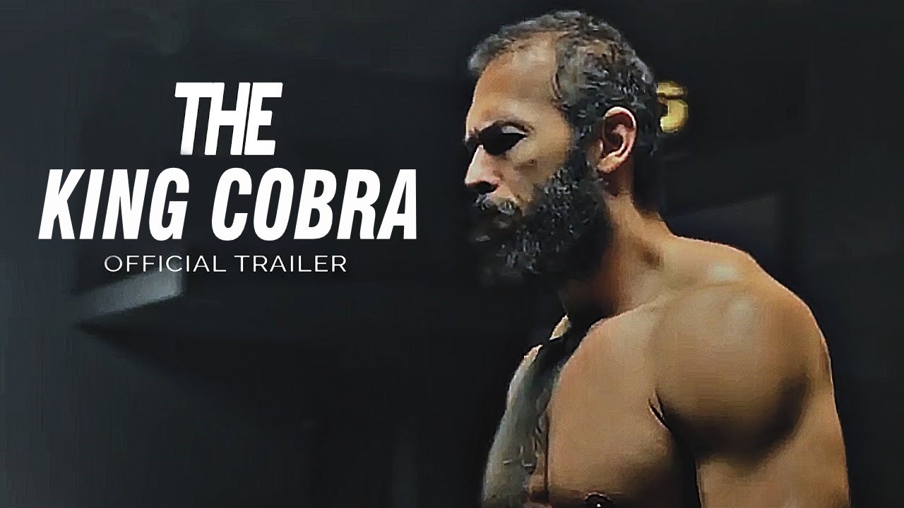 The King Cobra | The Official Andrew Tate Story - YouTube