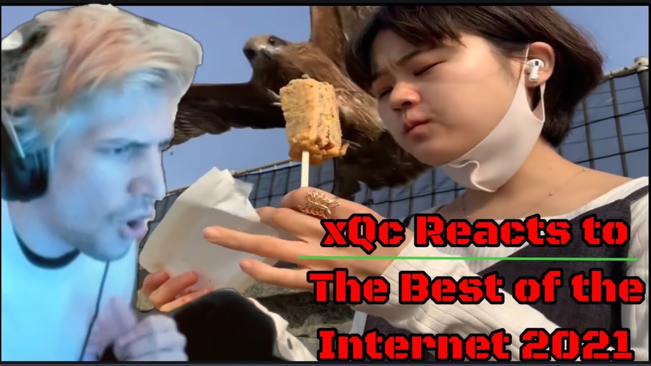 xQc reacts to the best of the internet 2021 | xQc reacts to Daily Dose Of Internet - YouTube