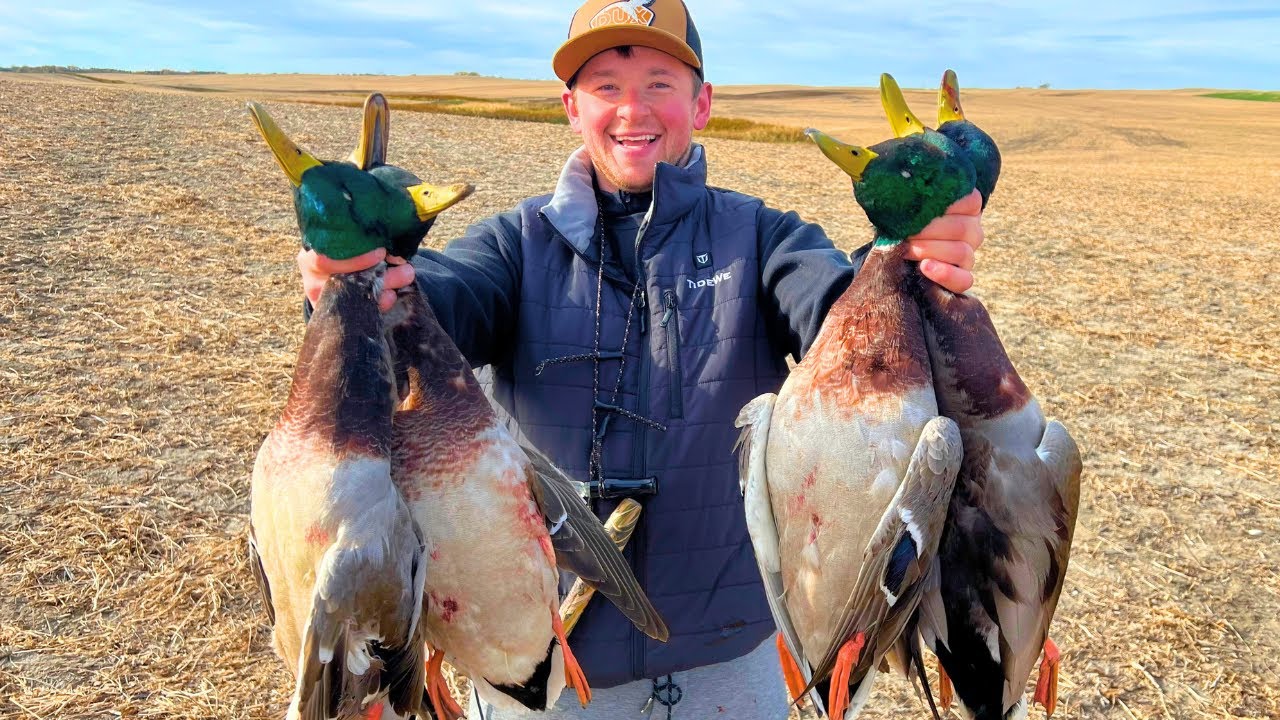 Duck Hunting A Field In North Dakota For MALLARDS! - YouTube