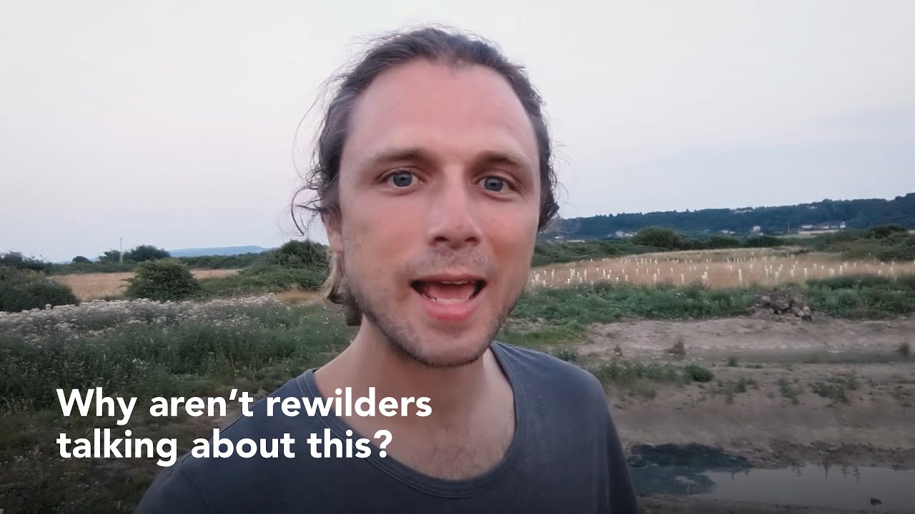 Why is UK Rewilding Missing Elephants? - How to Rewild - YouTube