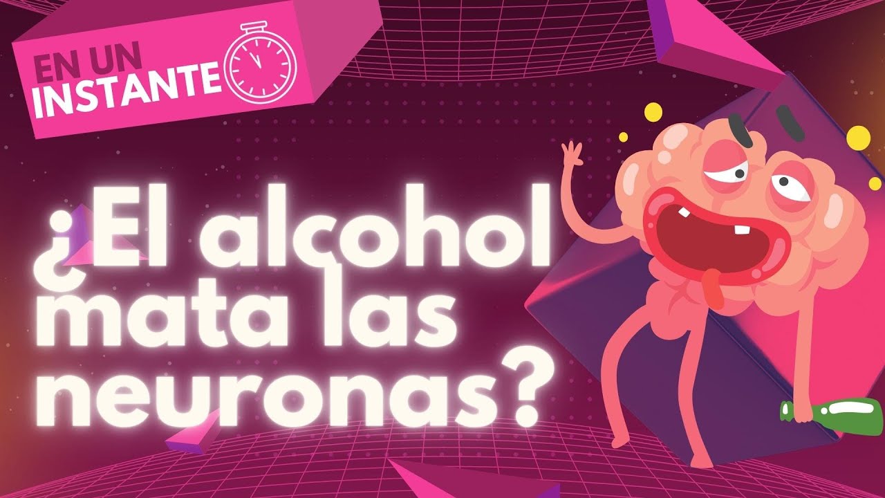 🍺 ¿El ALCOHOL mata neuronas? Cómo destruye tu cuerpo y mente - YouTube