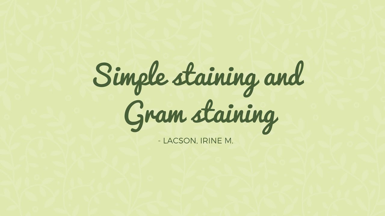 SIMPLE STAINING | GRAM STAINING - YouTube
