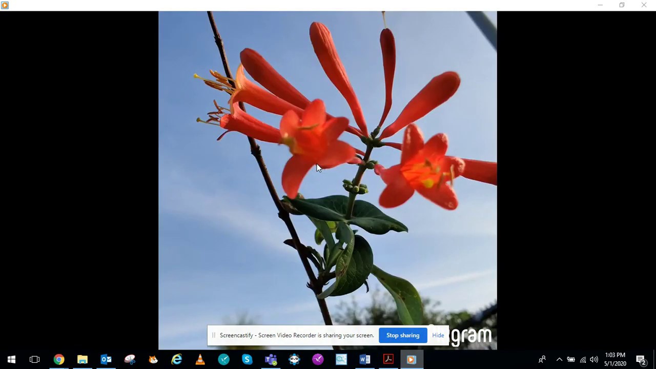 In the Garden! Week 6 with Ms. Boyce (STEAM Lab) - YouTube