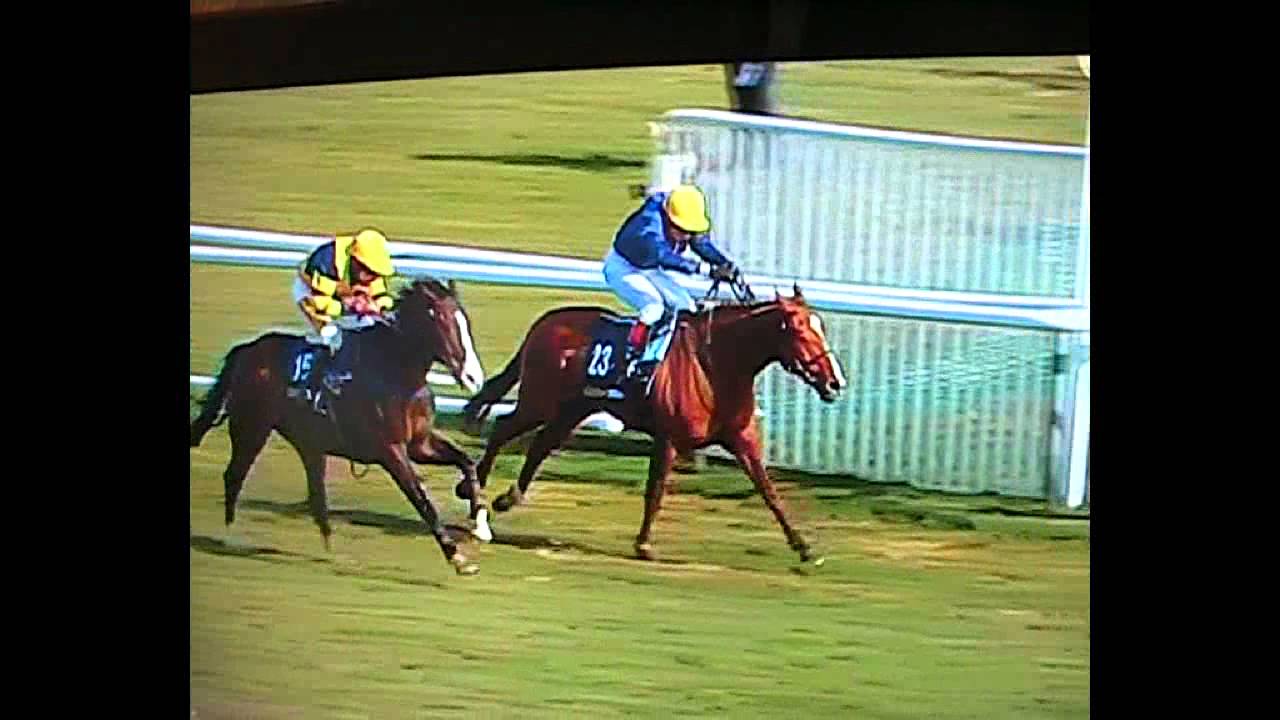 Chief Dan George. Paddy Aspell. William Hill Trophy Handicap Chase 2010 ...