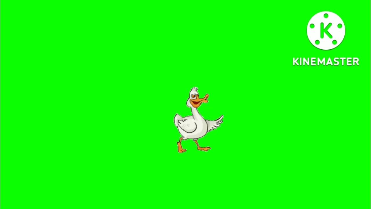 green screen animation video/green screen duck video/copyright free ...