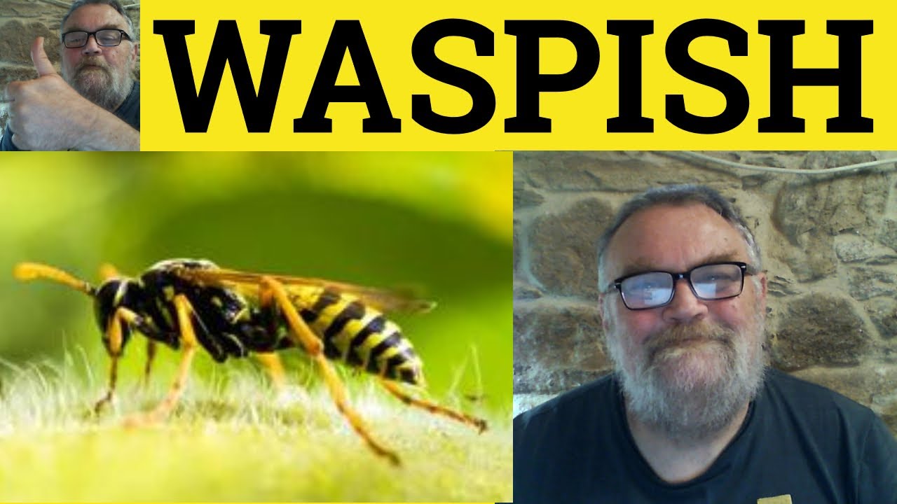 🔵 Waspish Meaning - Waspish Examples - Waspish Definition - C2 ...