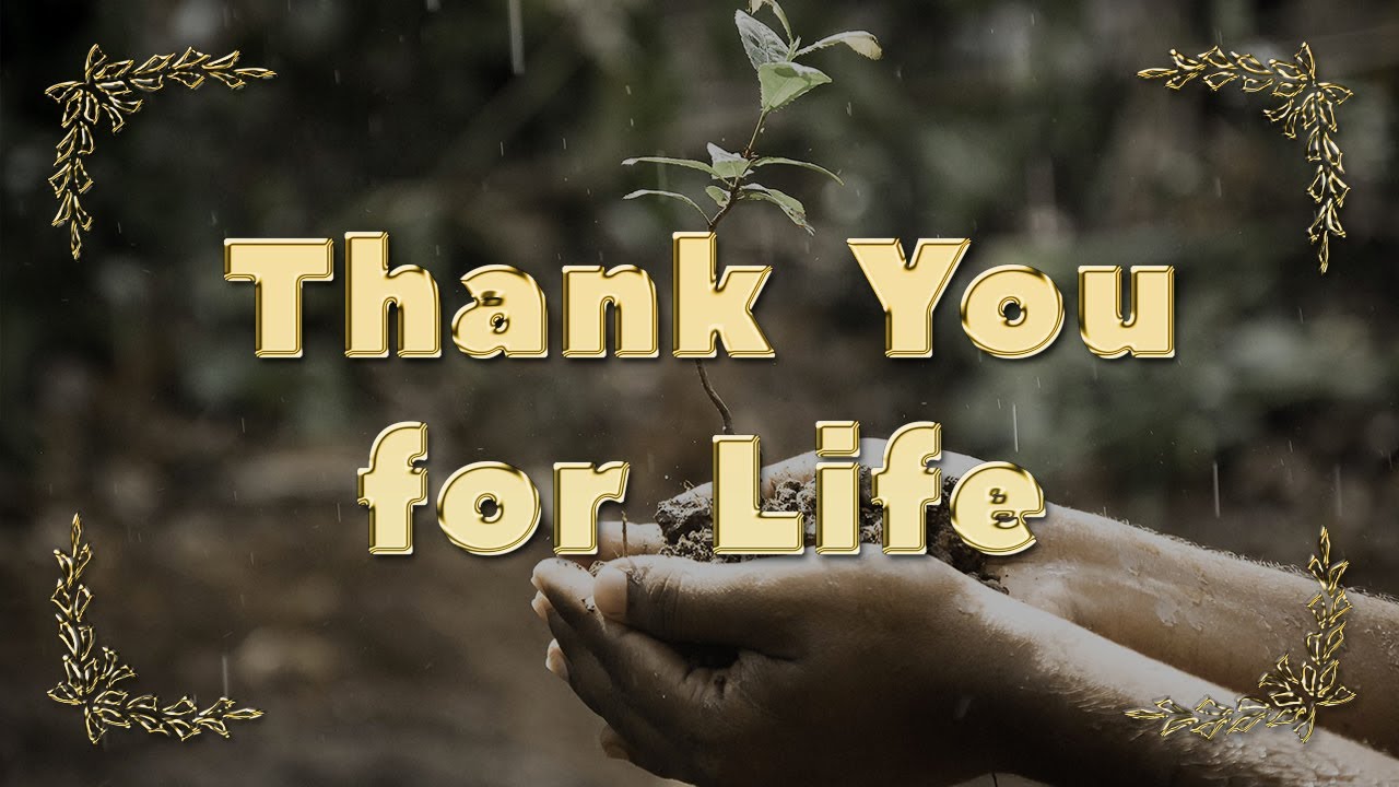 Thank You for Life | Music for Prayer and Reflection - YouTube Music