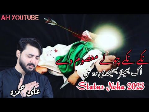 Ali Hamza | Status Noha 2023 | Nikky Nikky Choly Masoom Dy | Ali Hamza ...