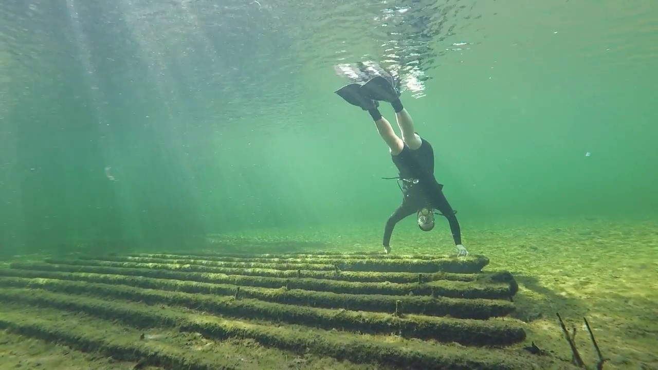 Diving Troy Springs State Park - LaFayette Co. FL - YouTube