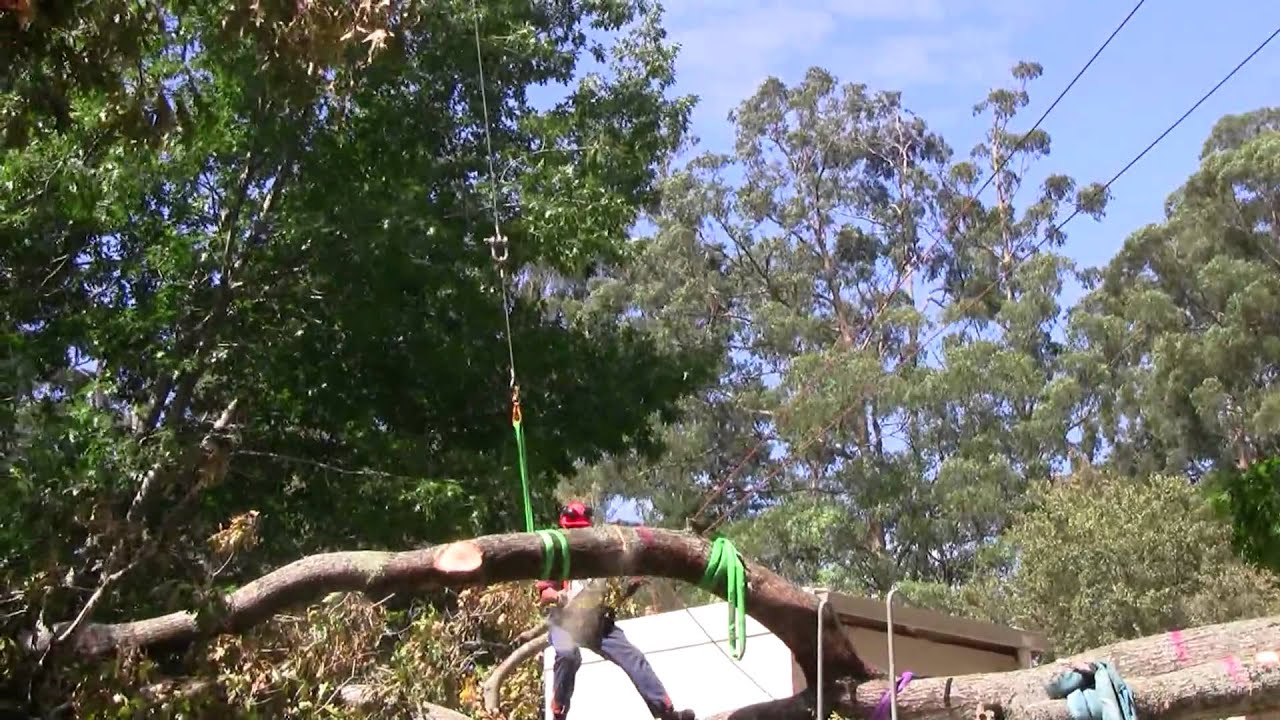 Helicopter Tree Removal - YouTube