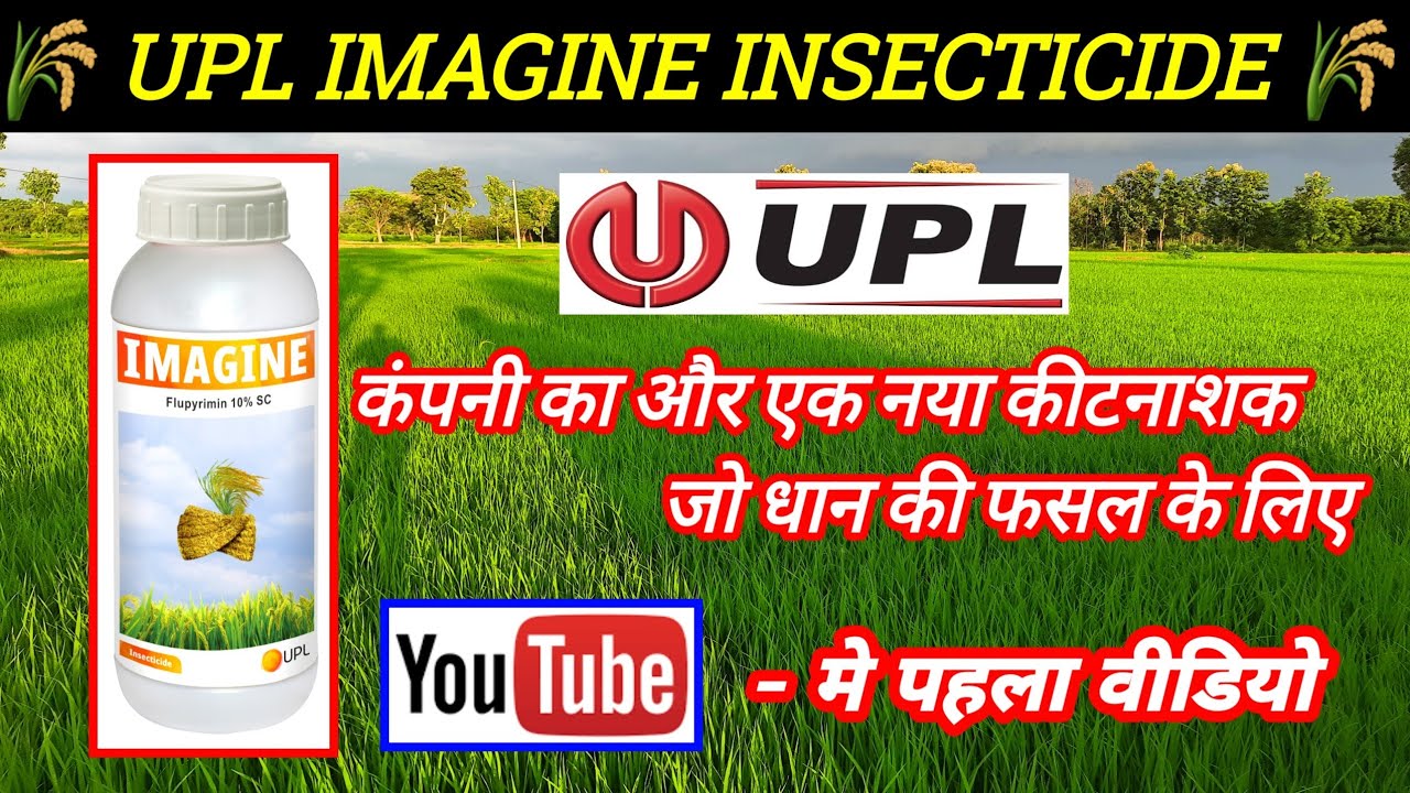 UPL Imagin insecticide|flupyrimin- 10%SC|धान की फसल के लिए नया कीटनाशक ...