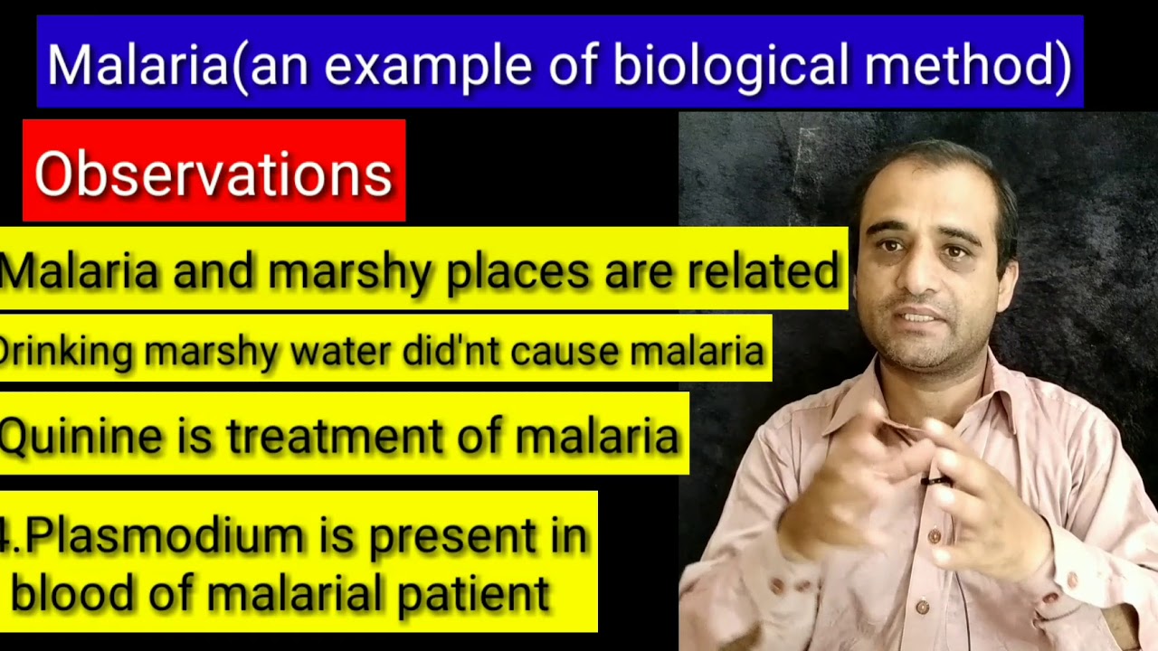 Malaria biological problem - YouTube