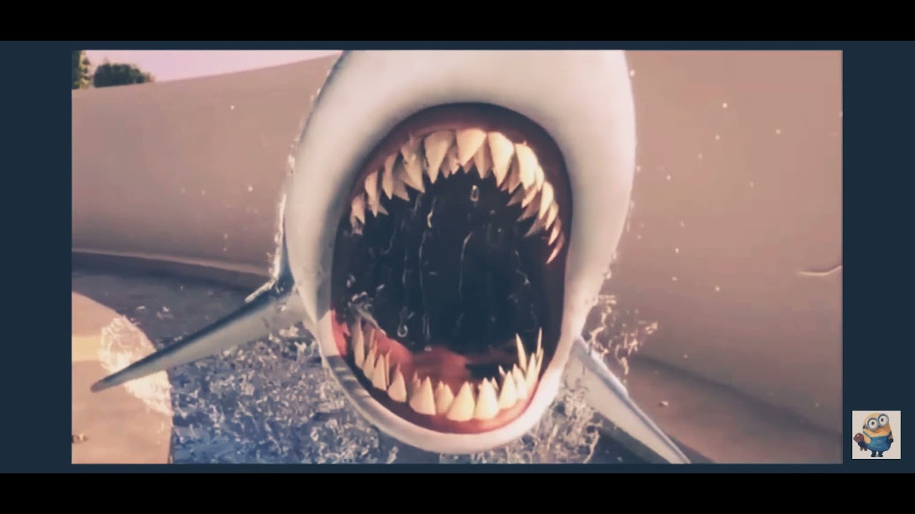 Gru punch a shark meme (the video is not mine) - YouTube