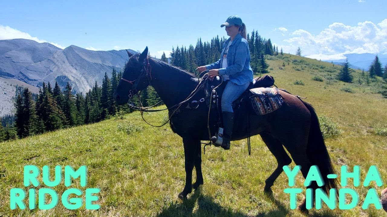 Exploring the Ya-Ha Tinda | Part 1 - YouTube