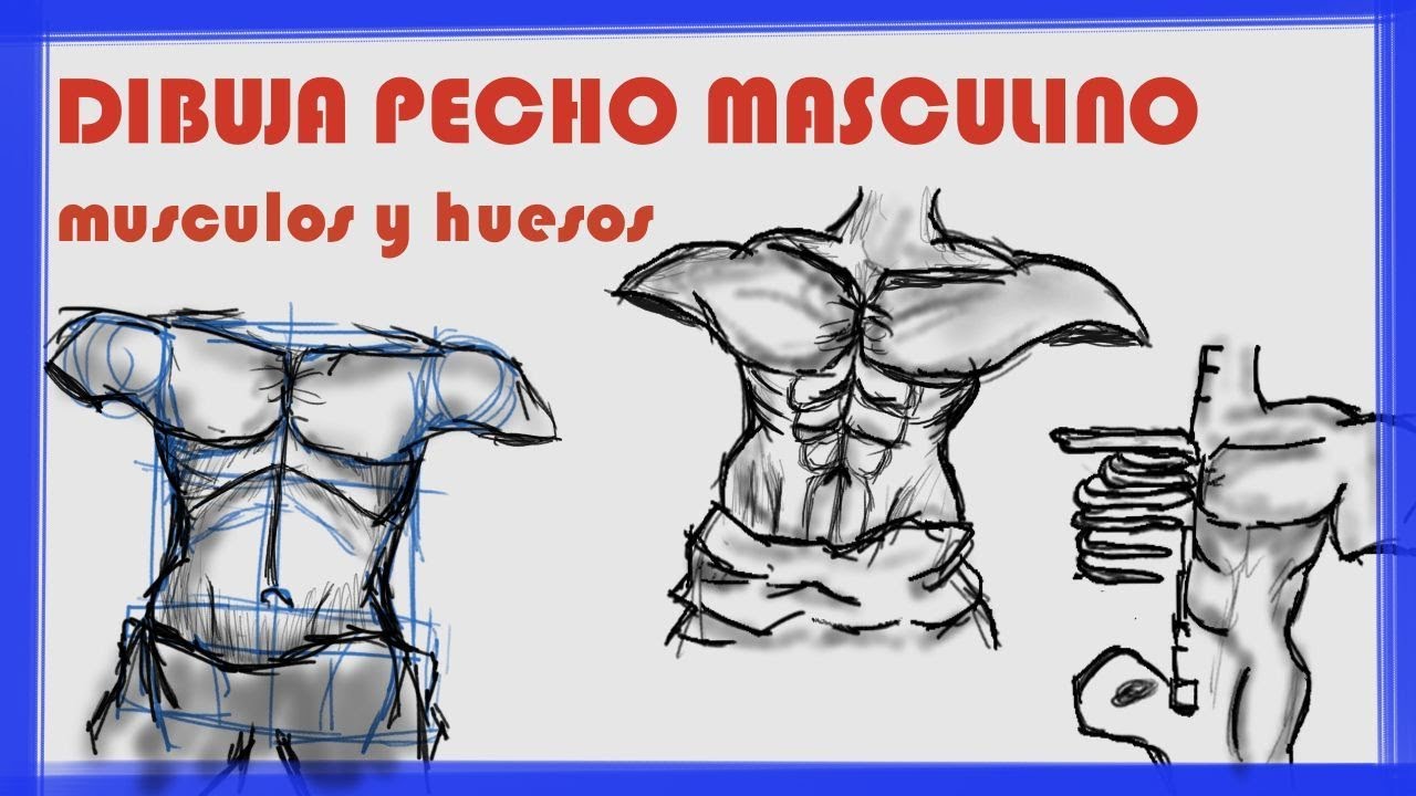 🛑Como DIBUJAR el PECHO MASCULINO Faci y Rapido - YouTube