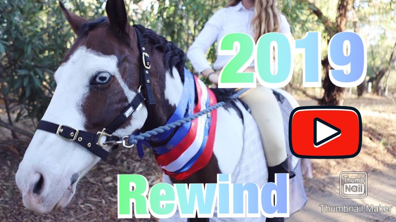 2019 Equestrian Rewind - YouTube