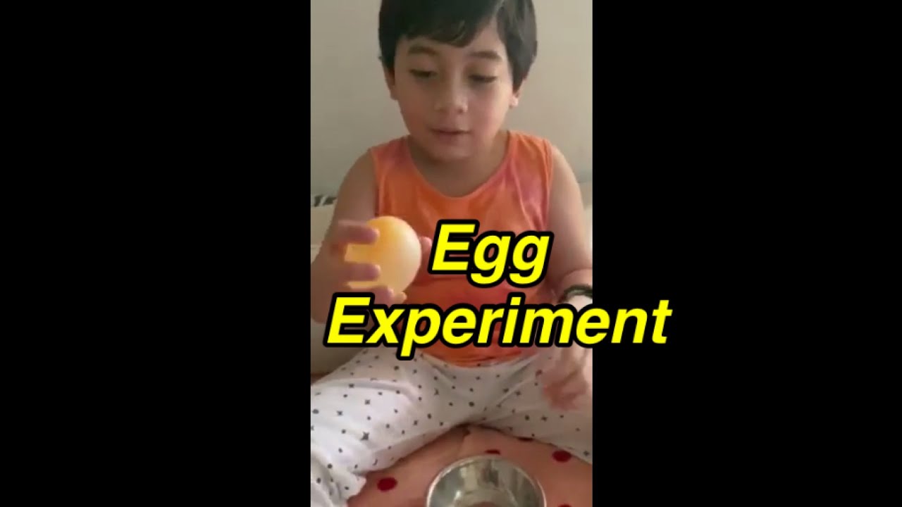 Egg Experiment - YouTube