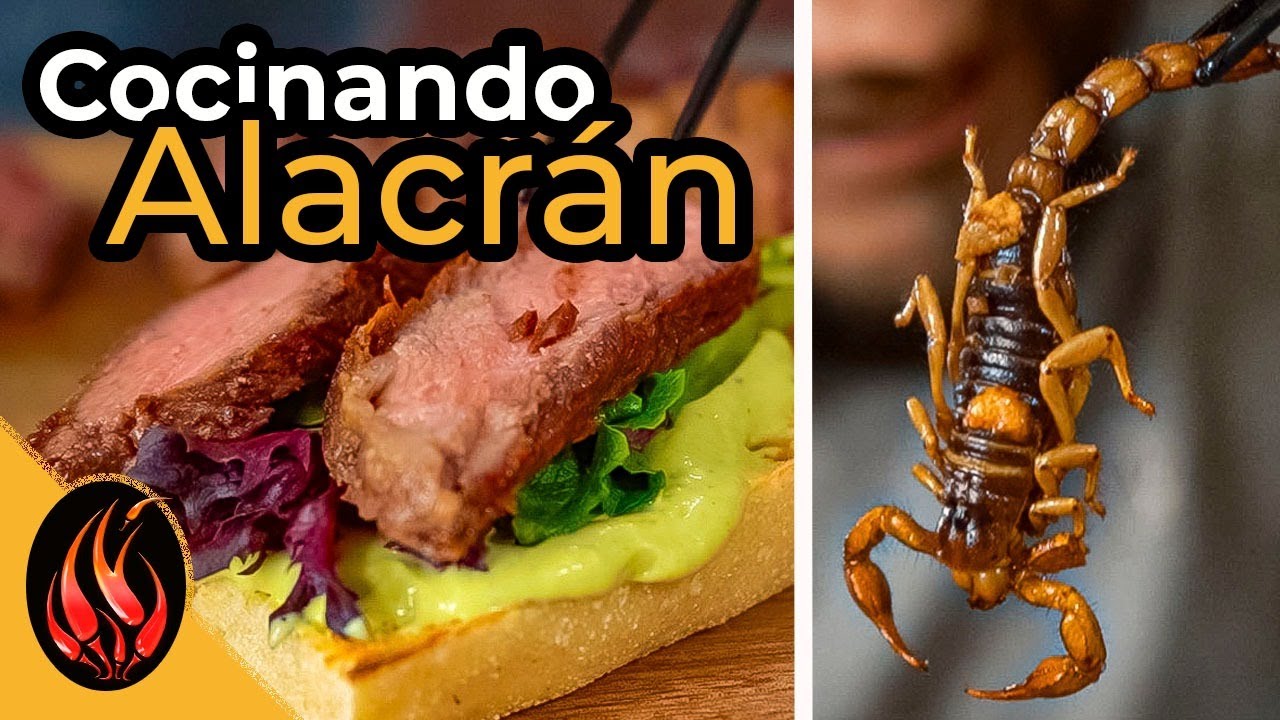 Cocinando Alacrán!! mi visita a Durango | toque y sazón - YouTube