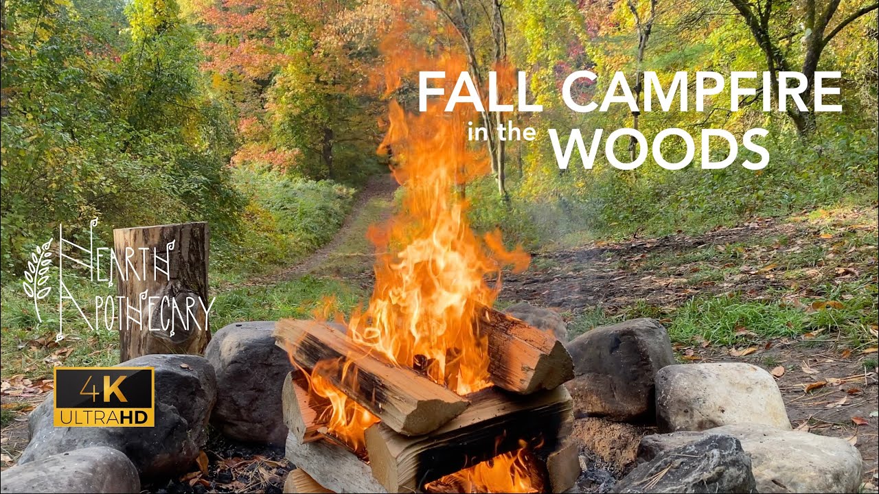 4K Fall Campfire in the Woods - Cozy Ambience & Nature Sounds (NO MUSIC ...