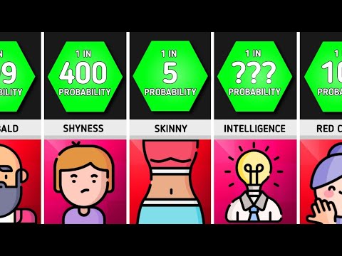 Probability Comparison: Most Attractive Traits - YouTube