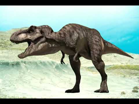 쥬라기 사우리안 티렉스 (Jurassic saurian T-Rex) - YouTube