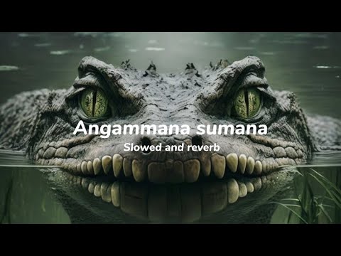 Angammana sumana (slowed and reverb) - YouTube