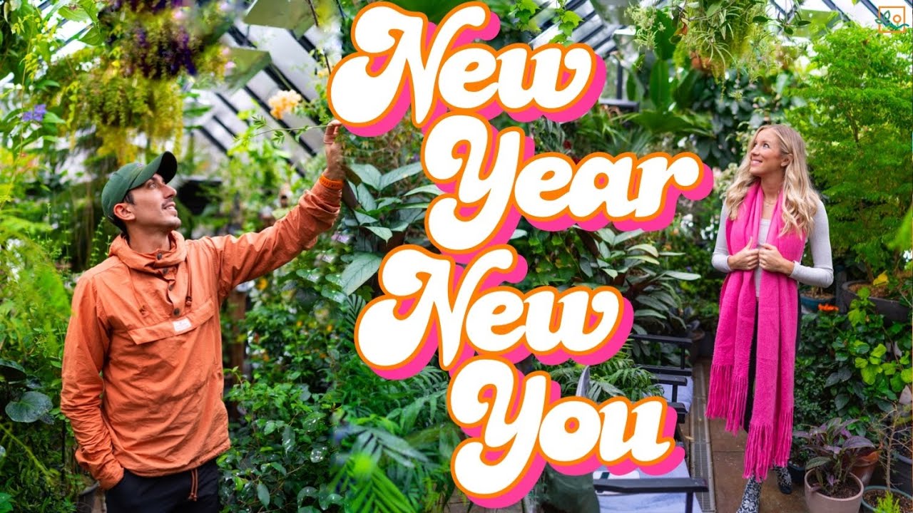 💥3 Practical Tools To Actually Get Results: Transform Your Health FOR ...