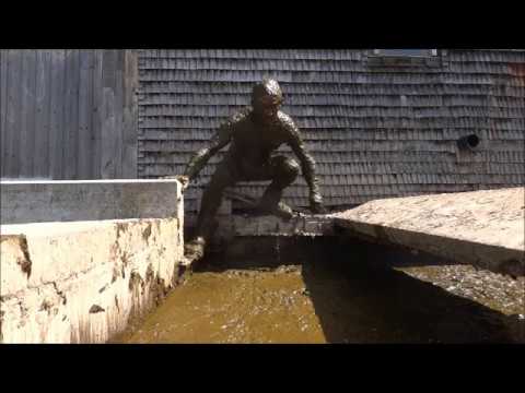 Short Movie. The best of diving - YouTube