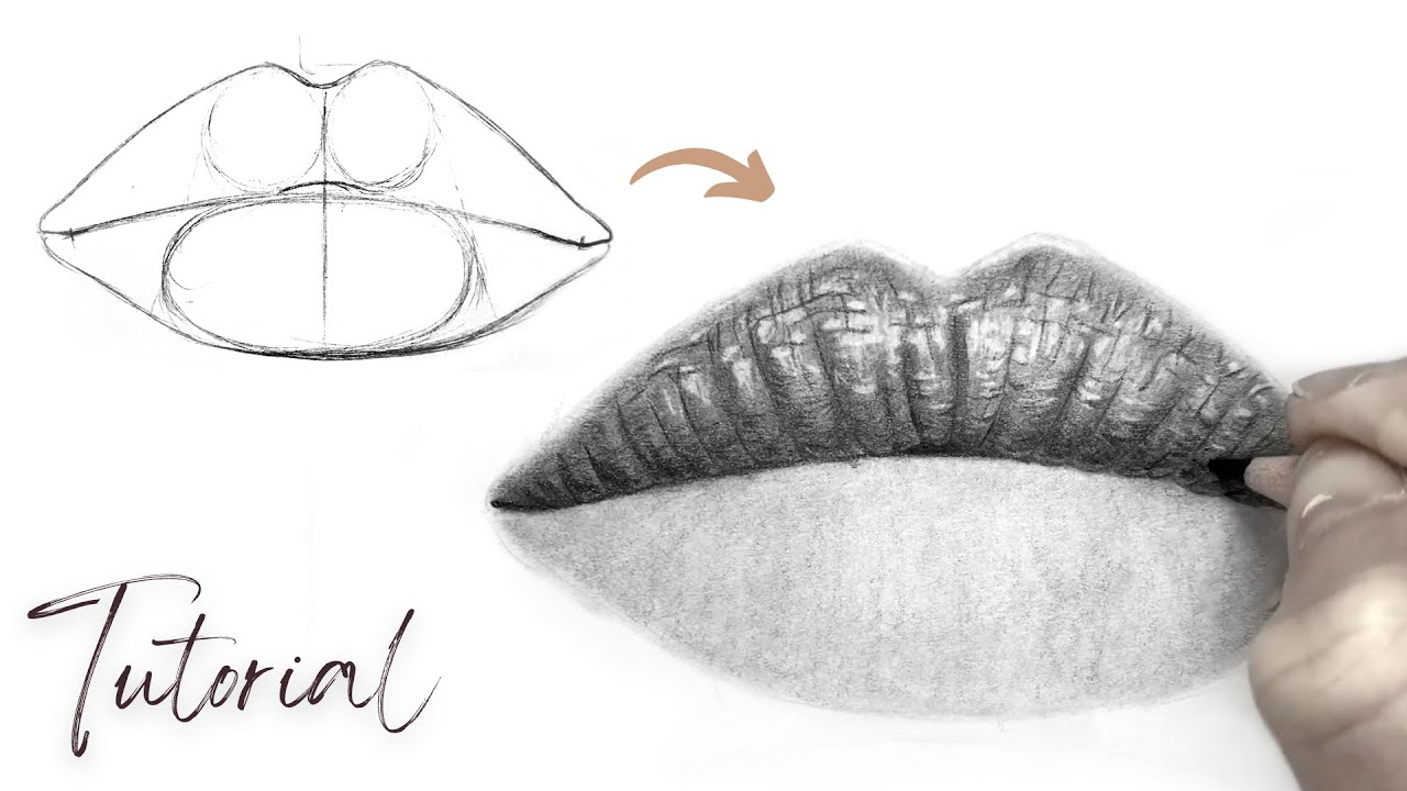 Lippen Zeichnen Lernen