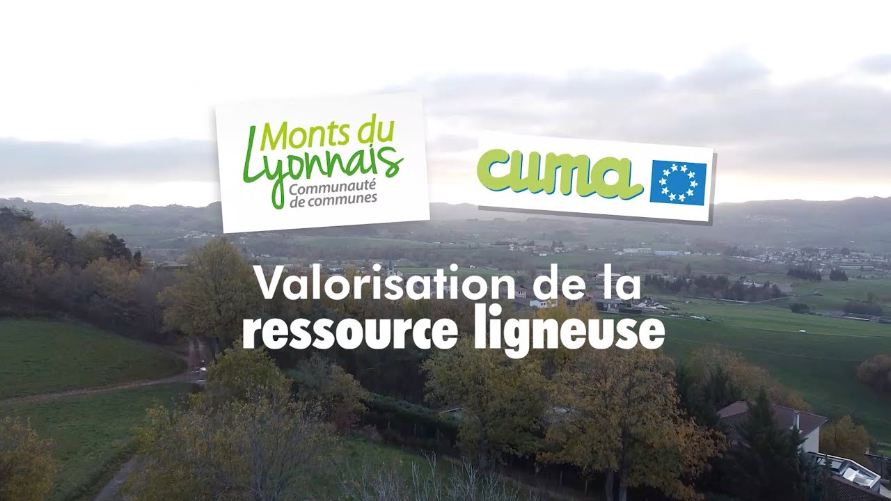 La ressource ligneuse, une ressource d’avenir à valoriser - YouTube