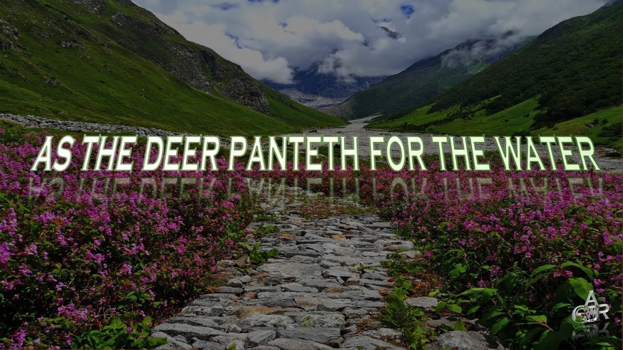 As The Deer Panteth For The Water | Lyric - YouTube