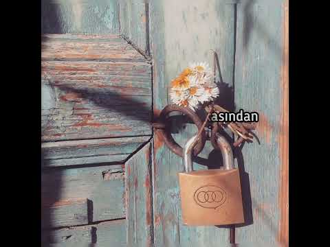 Fasle parishani - Ali Zandevakili 🌸 #farsça #farsçaşarkı #alizandevakili