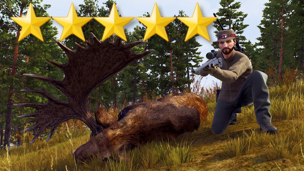 Alce gigante 5 Estrelas | Giant Moose 5 Stars #wayofthehunter - YouTube