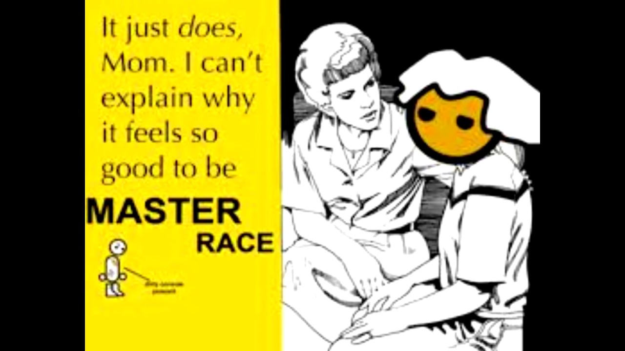 PC Master race Memes & images - YouTube
